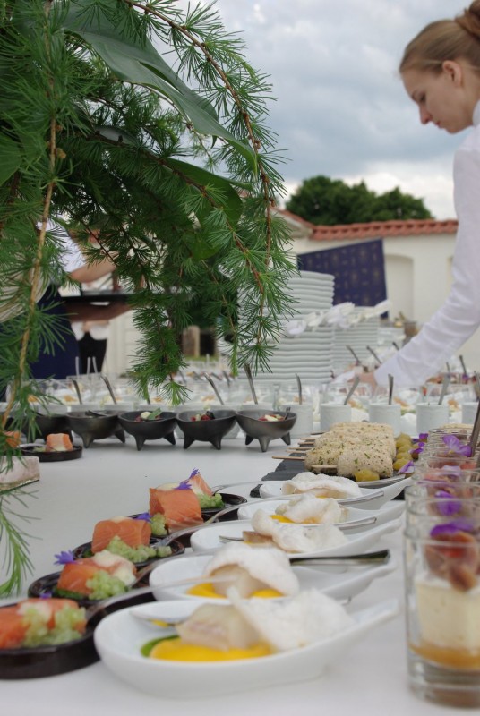 „Monte Pacis” – unikalus svetingumo kompleksas prie Pažaislio ...